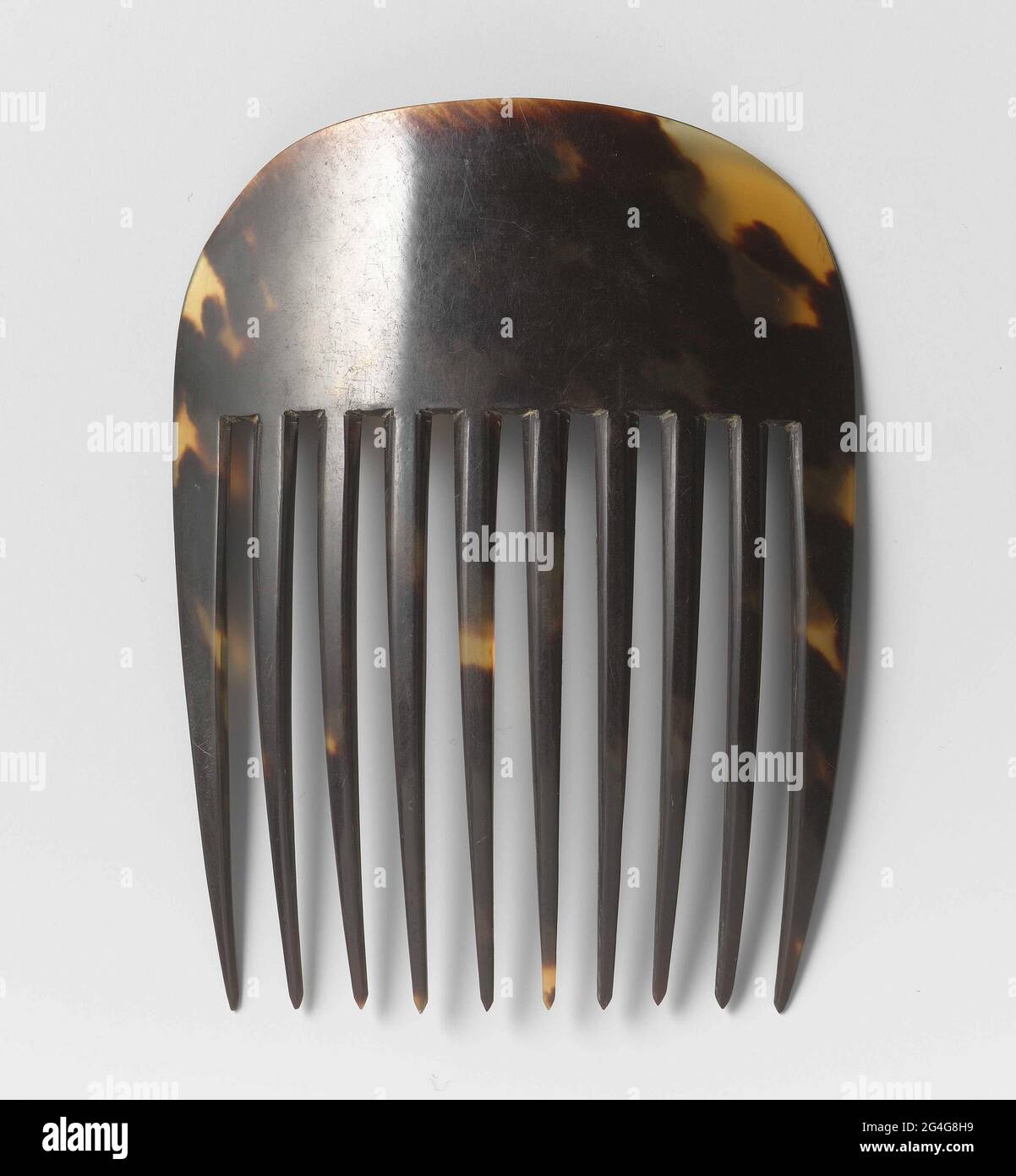 . Hair comb of turtle with an unmedged round back. Ten teeth Stock ...
