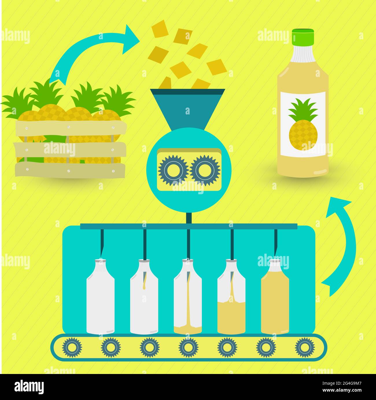 Pineapple processing Stock Vector Images - Alamy
