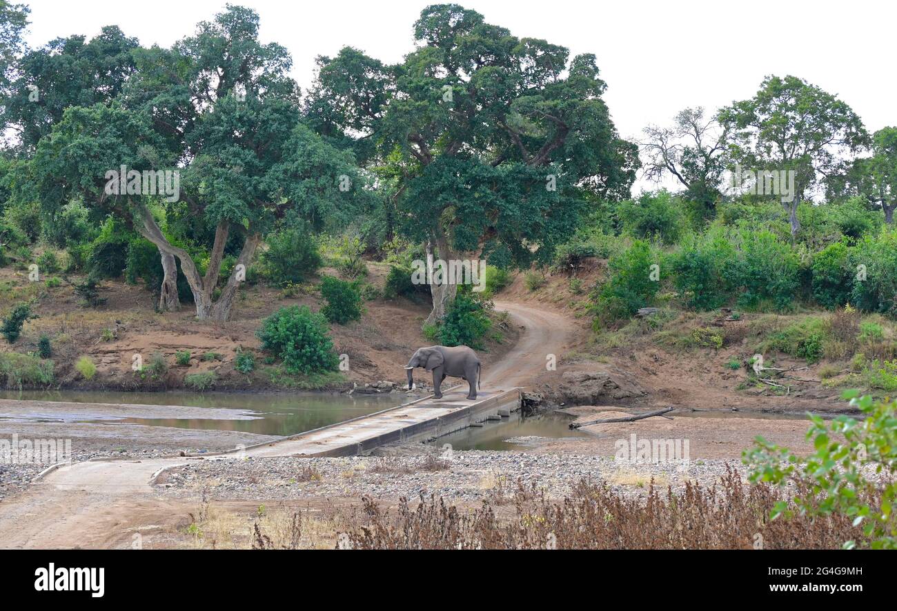 African roadblock hi-res stock photography and images - Alamy