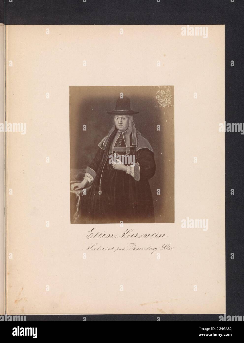 Marsvin hi-res stock photography and images - Alamy