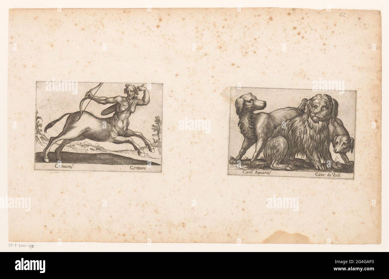 Centaur and three dogs; Centaurus / Centaoro / Canis aquarius / Cane da ...