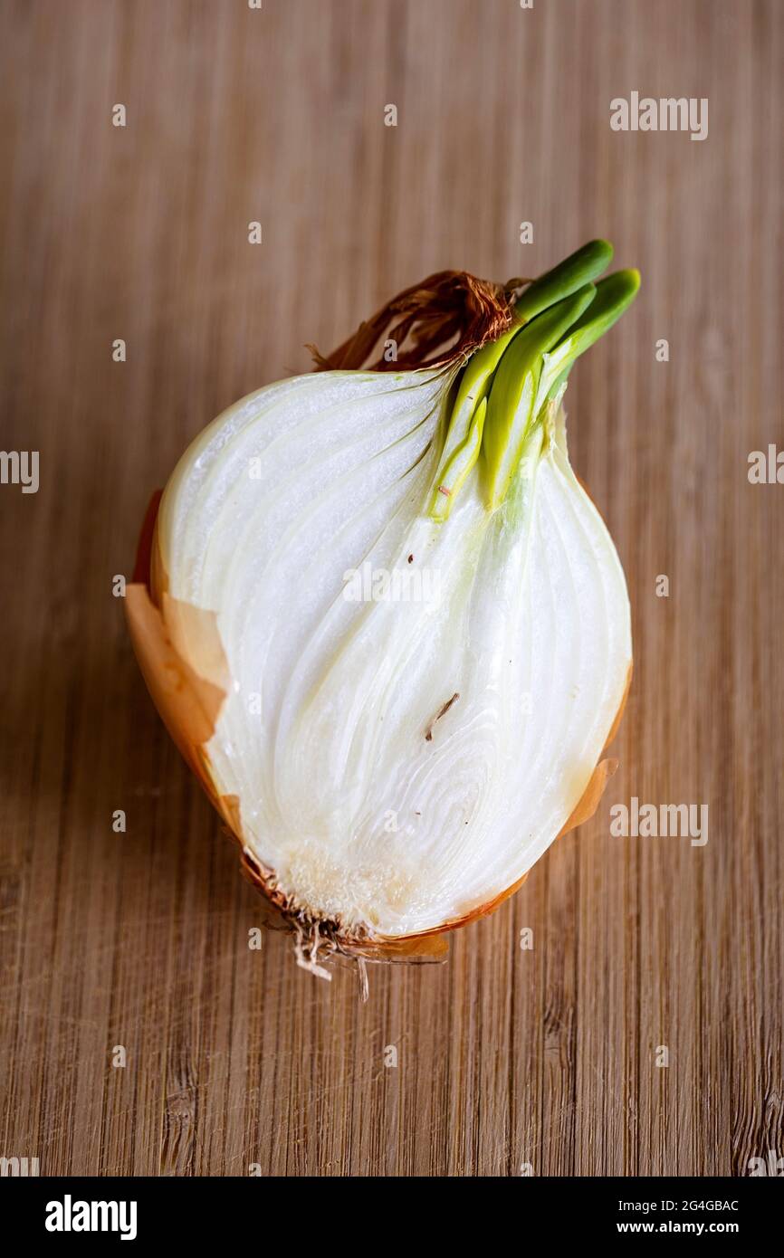 Onion bulb shoot hi-res stock photography and images - Alamy