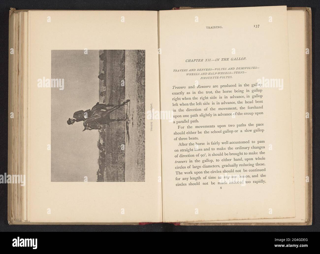 Gallop right hi-res stock photography and images - Alamy