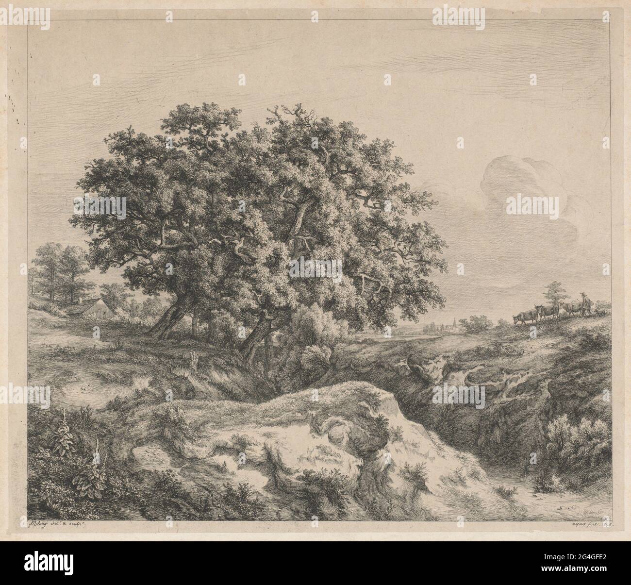 Le chêne au ravin (Oak Tree by a Ravine), 1845 Stock Photo - Alamy