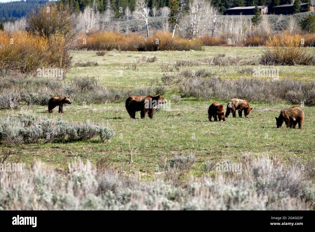 399 hi-res stock photography and images - Alamy