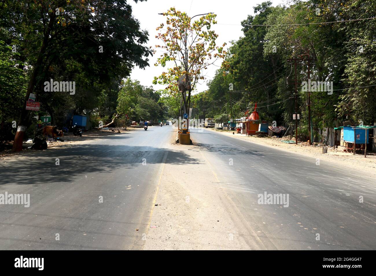 Medical immanency hi-res stock photography and images - Alamy