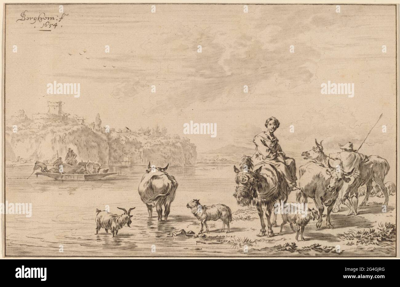 Mules and cows hi-res stock photography and images - Alamy