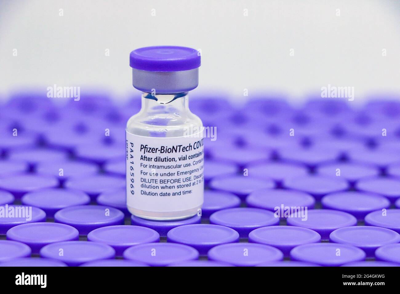 Vial of Pfizer BiNTech Covid-19 vaccine on top of several others ...