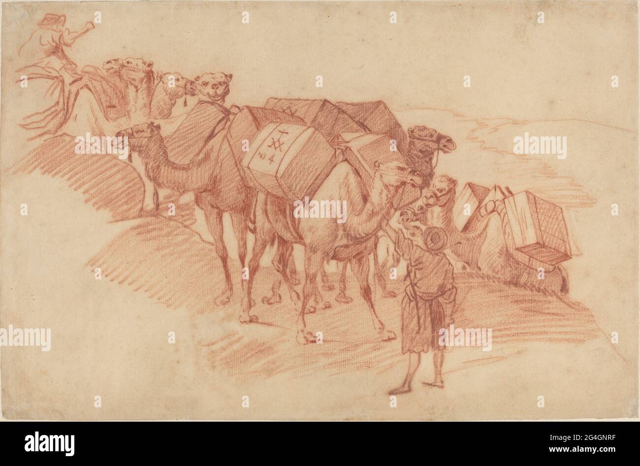 Camel package hi-res stock photography and images - Alamy