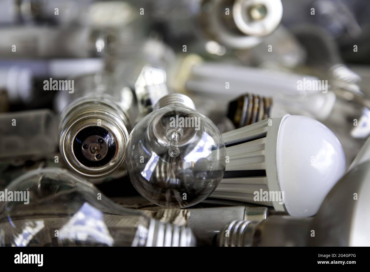 Container of light bulbs Light, recycling and environment Stock Photo ...