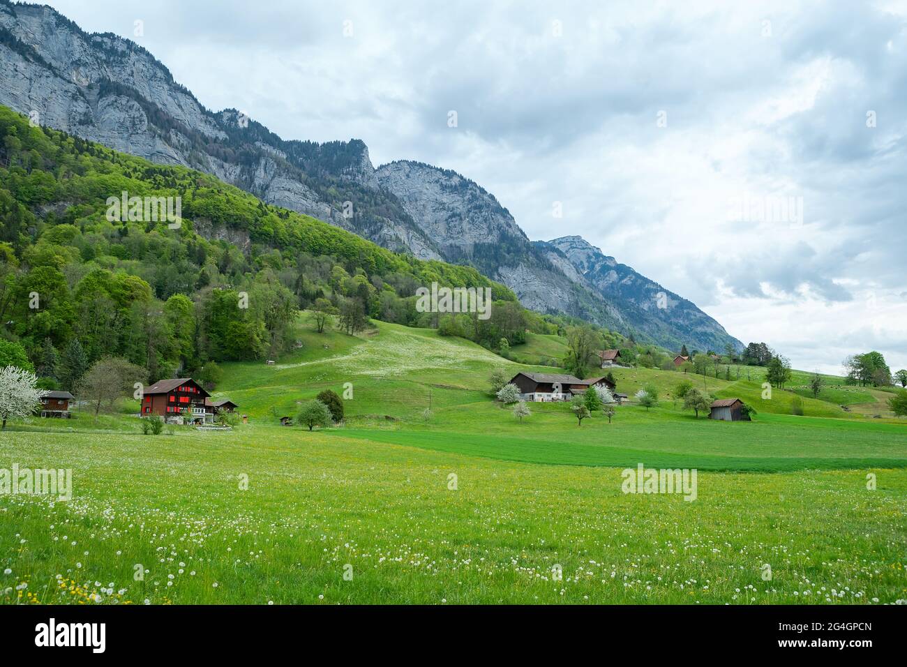 Spring meadows and fields landscape with cottage houses in Switzerland ...