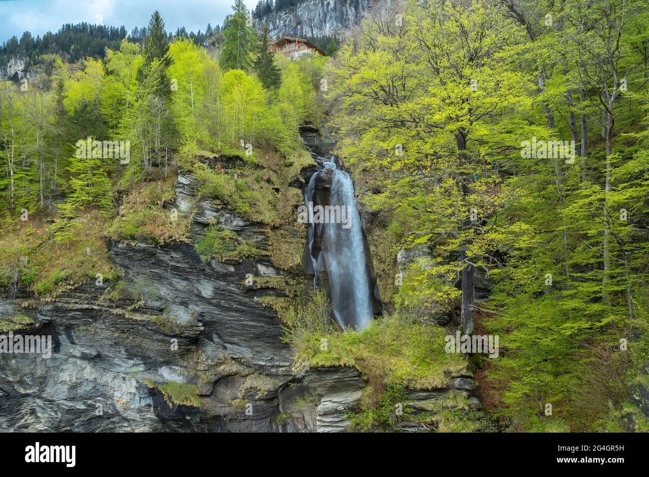 Reichenbach Falls waterfall in Switzerland Stock Photo - Alamy