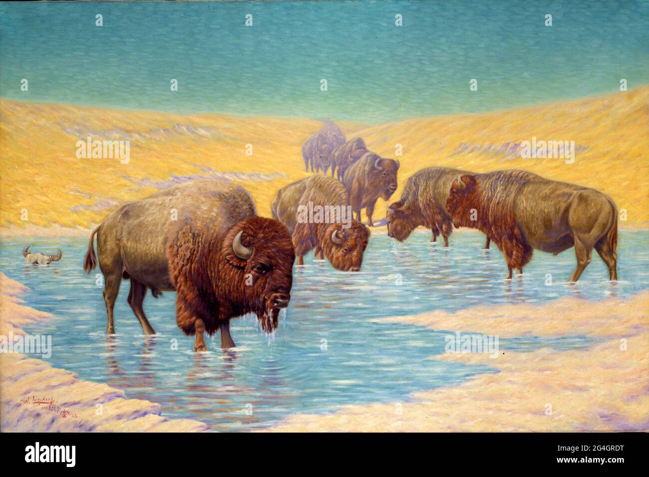 Buffalo Scene, 1922 Stock Photo - Alamy