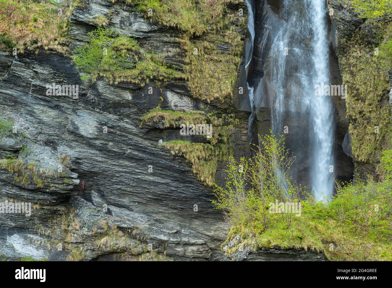 Reichenbach Falls waterfall in Switzerland Stock Photo - Alamy