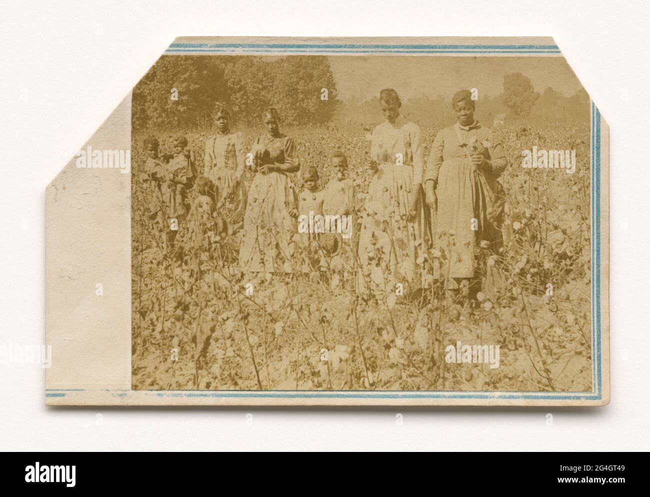Slaves in cotton field hi-res stock photography and images - Alamy