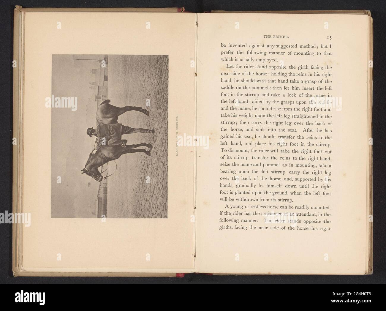 Man taking a horse with the help of stirrups; Mounting with Stirrups ...