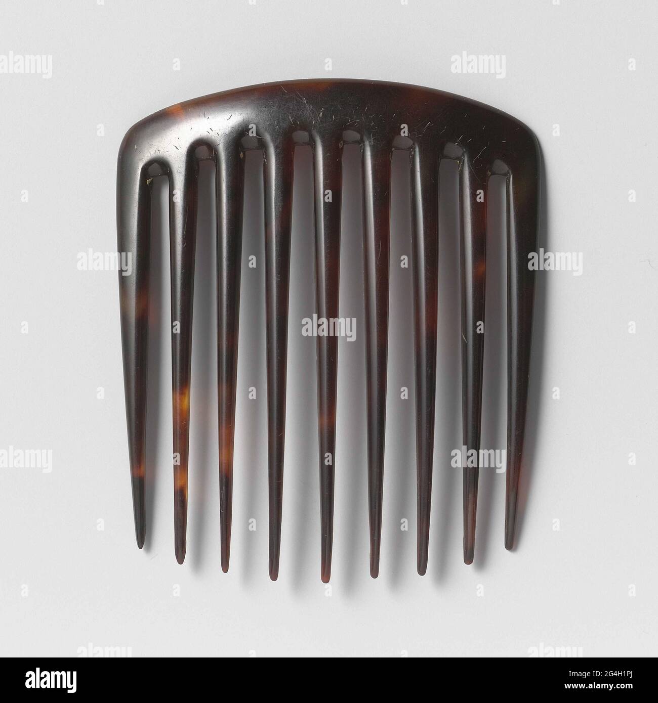 . Hair comb of turtle with very snalle increded rounded back. Nine ...