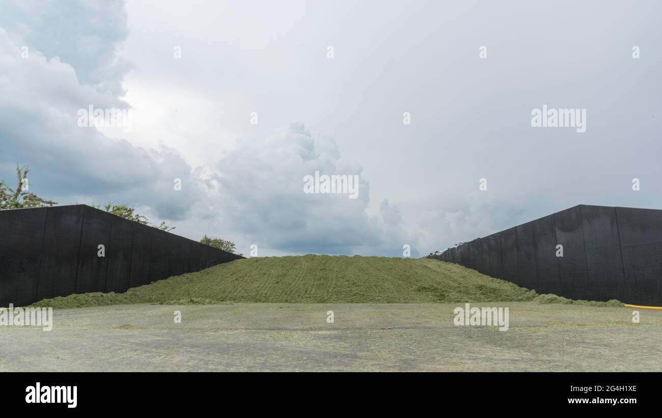 Fresh silo in the countryside with cloudy sky Stock Photo - Alamy