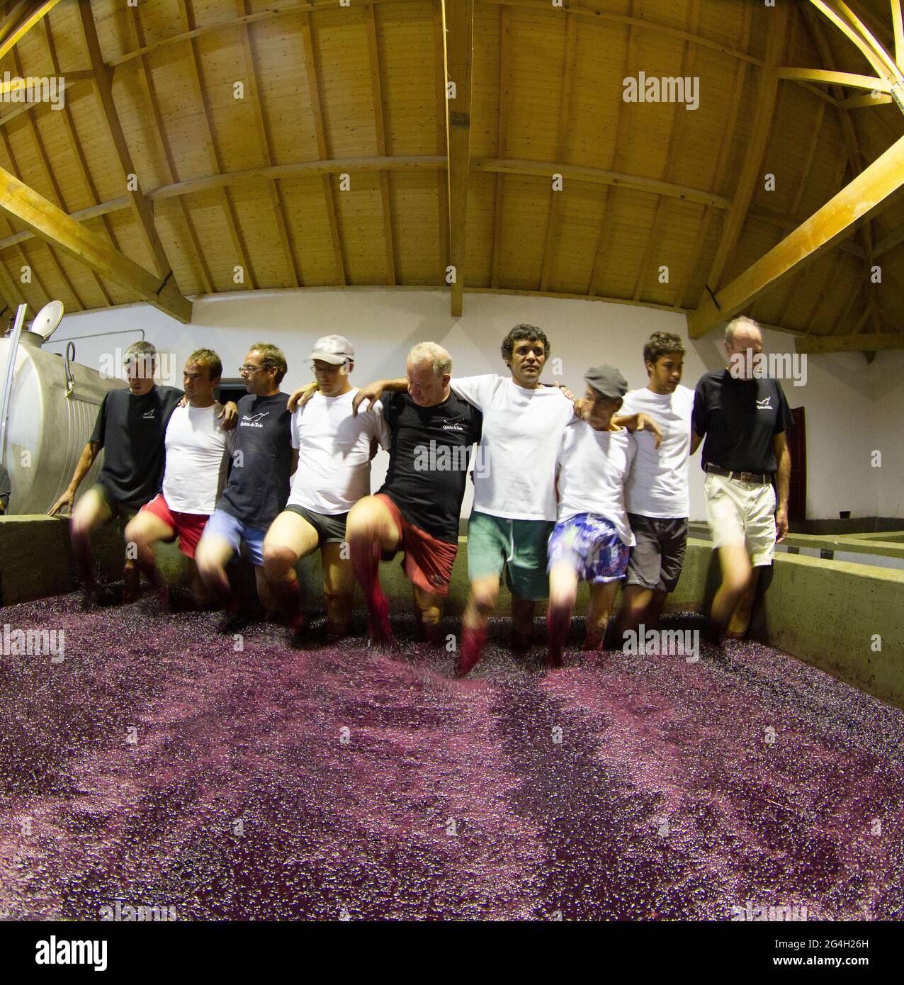 Grape stomping hi-res stock photography and images - Alamy