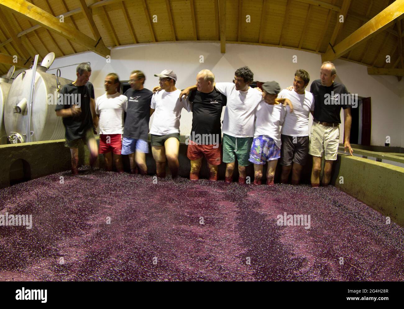 Grape treading portugal hi-res stock photography and images - Alamy