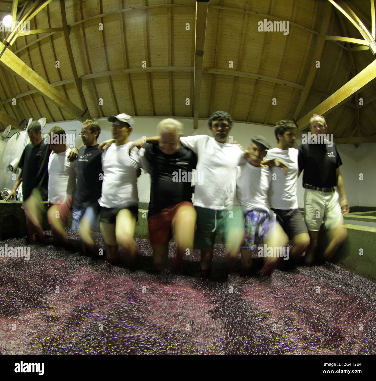 Grape stomping hi-res stock photography and images - Alamy