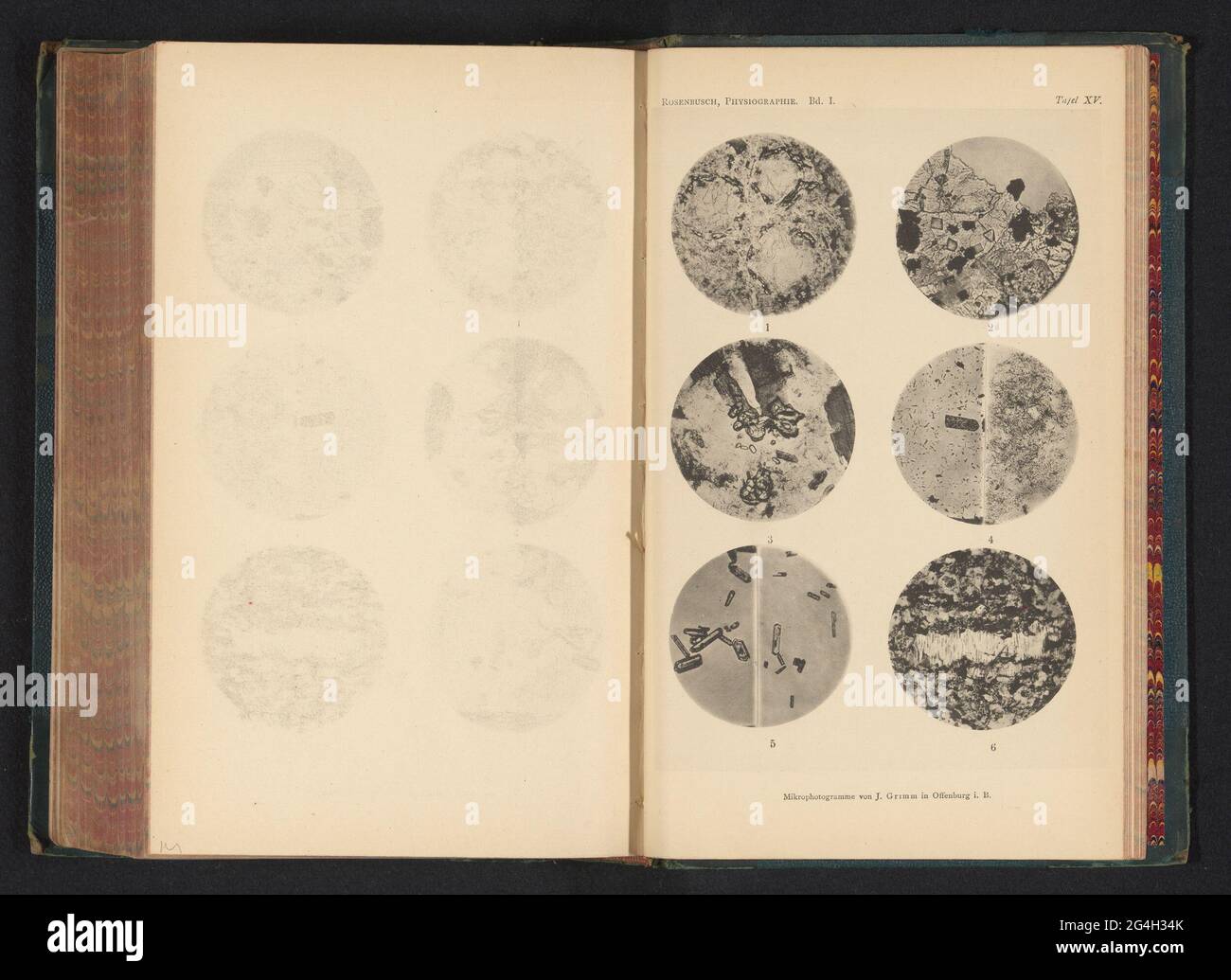 Six microscopic magnifications of minerals. Figure 1 is leucite, 2 is ...