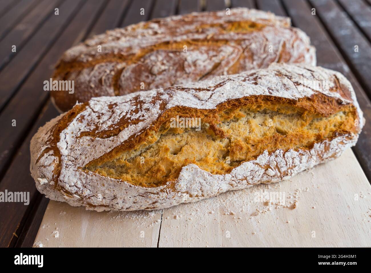 golden crispy ciabatta bread handmade with traditional sourdough Stock ...