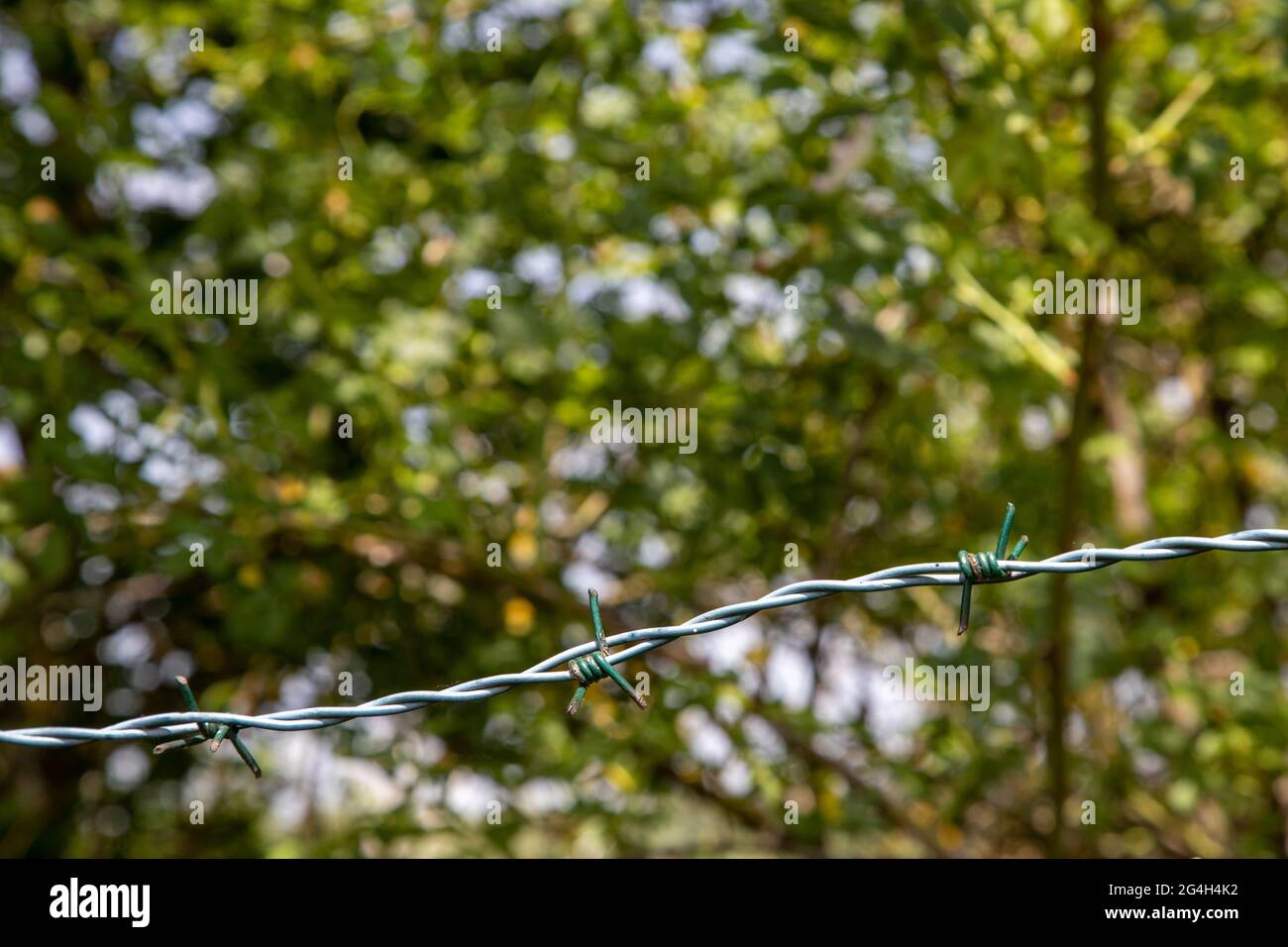 Barber wire hi-res stock photography and images - Alamy