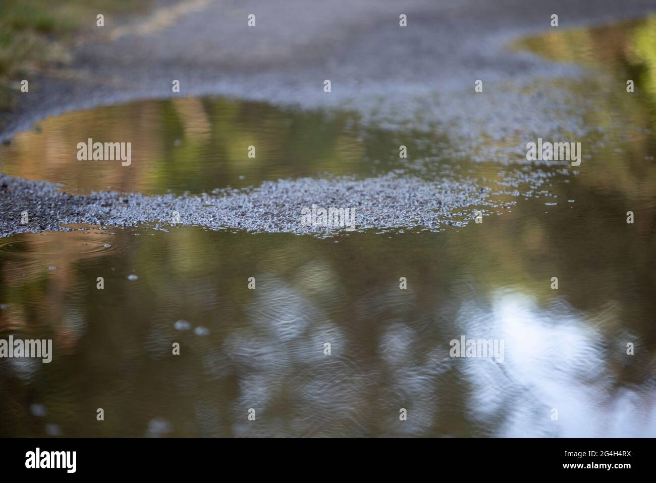 Puddle of dirt hi-res stock photography and images - Alamy