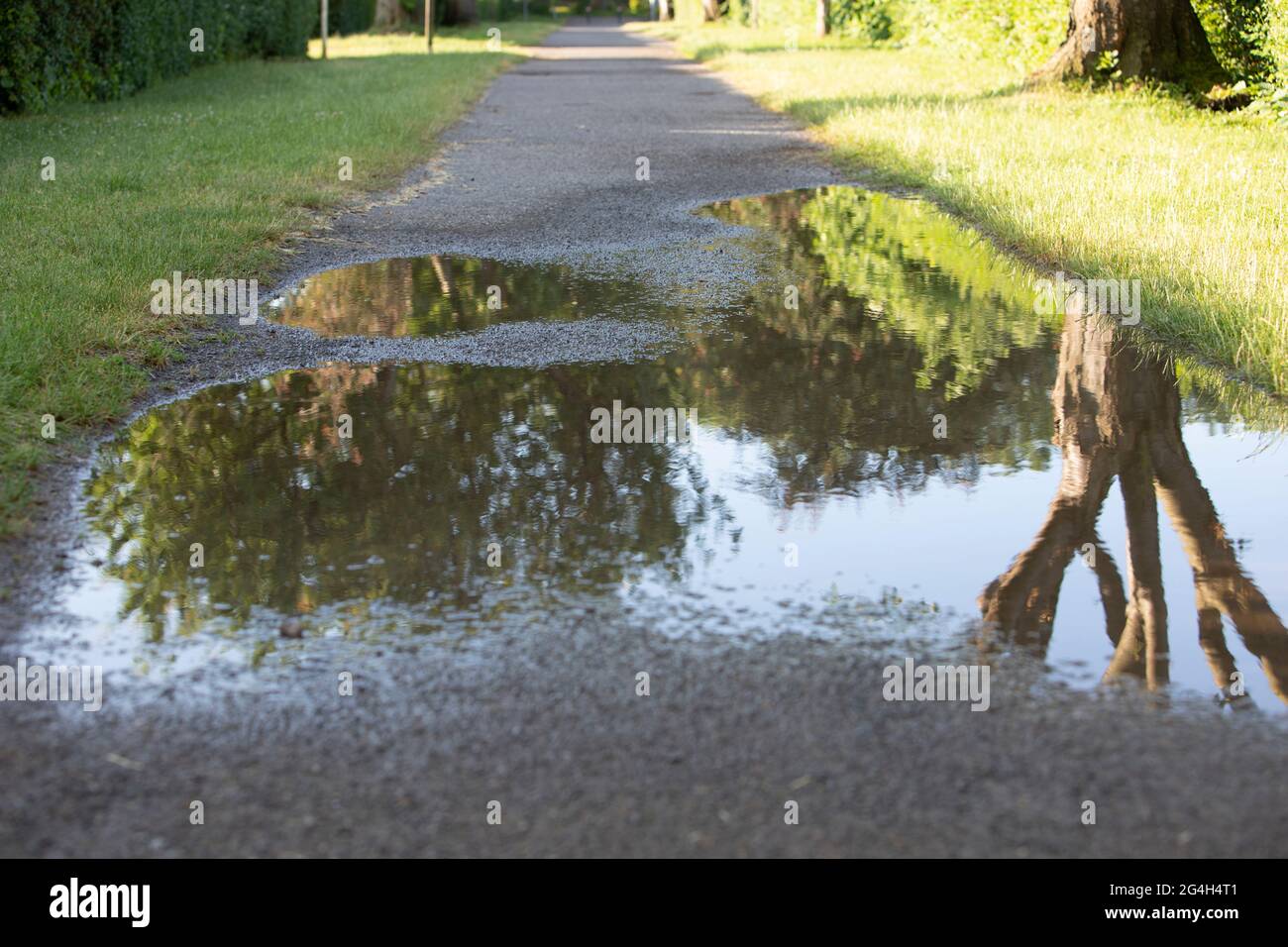 Rainwater puddle reflection hi-res stock photography and images - Alamy