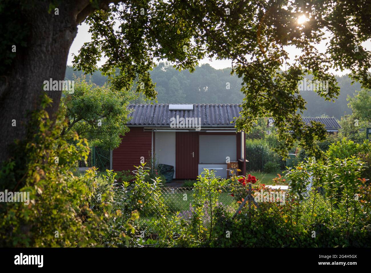 Huerth, NRW, Germany, 06 13 2021, tiny house in an allotment garden ...