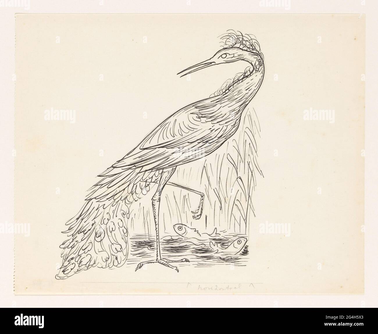 Sketch of a heron on the water Stock Photo - Alamy