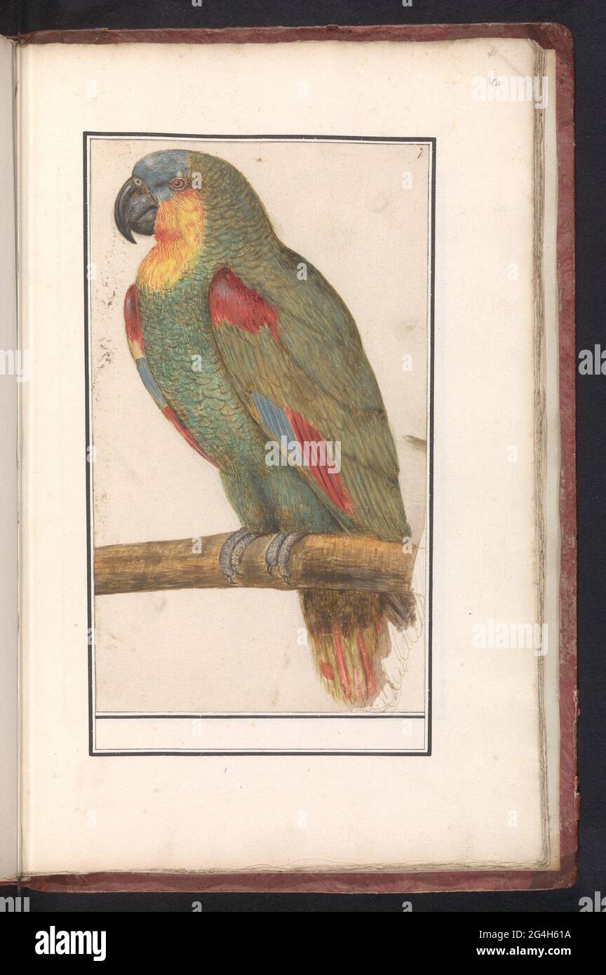 Parrot. Parrot. Numbered at the top right: 7. Part of the second album ...