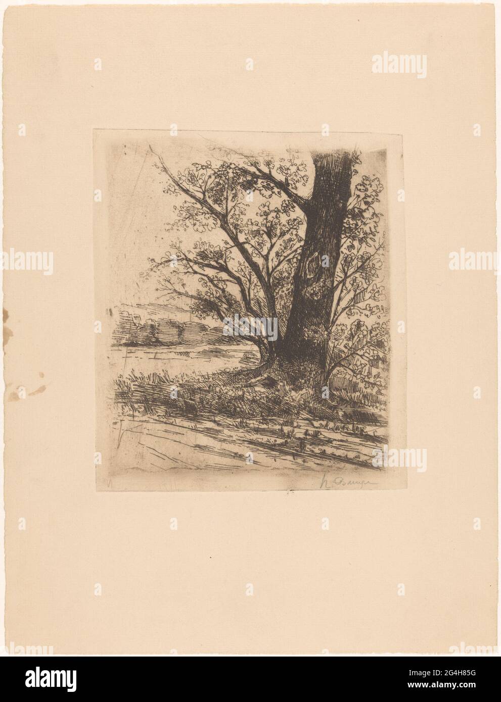 Tree on a path Stock Photo - Alamy