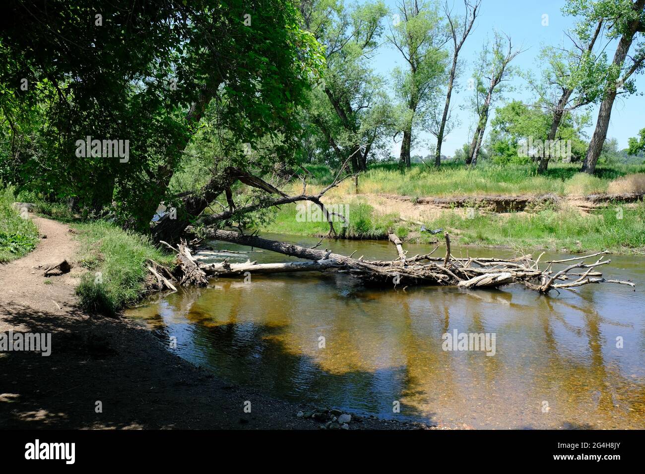 Beautiful trail that runs through Lakewood, features a long running ...