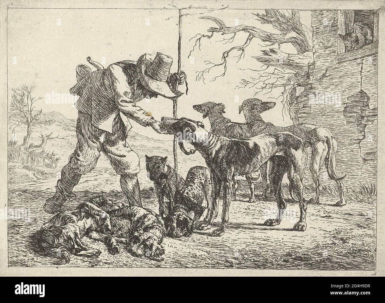 . A hunter aait one of his seven hunting dogs under the chin, right is ...