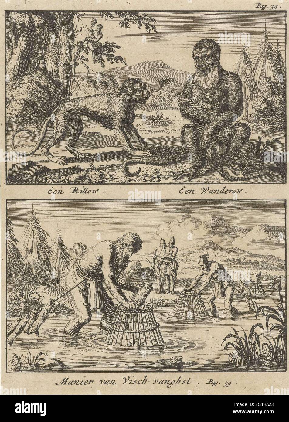 . Two representations of one plate. Print at the top right labeled: p ...