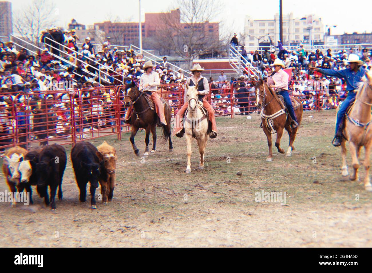 New York City Black World Championship Rodeo Stock Photo - Alamy