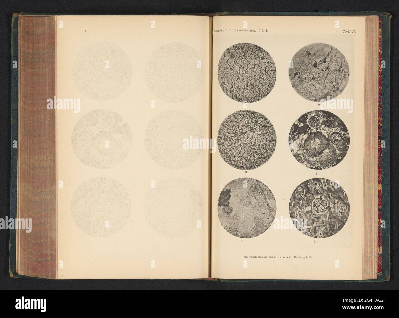 Six microscopic magnifications of minerals. Figure 1 is lime glimmer in ...