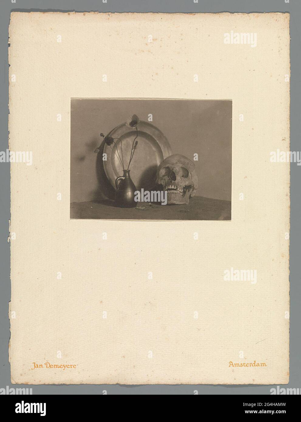 Still life with skull Stock Photo - Alamy