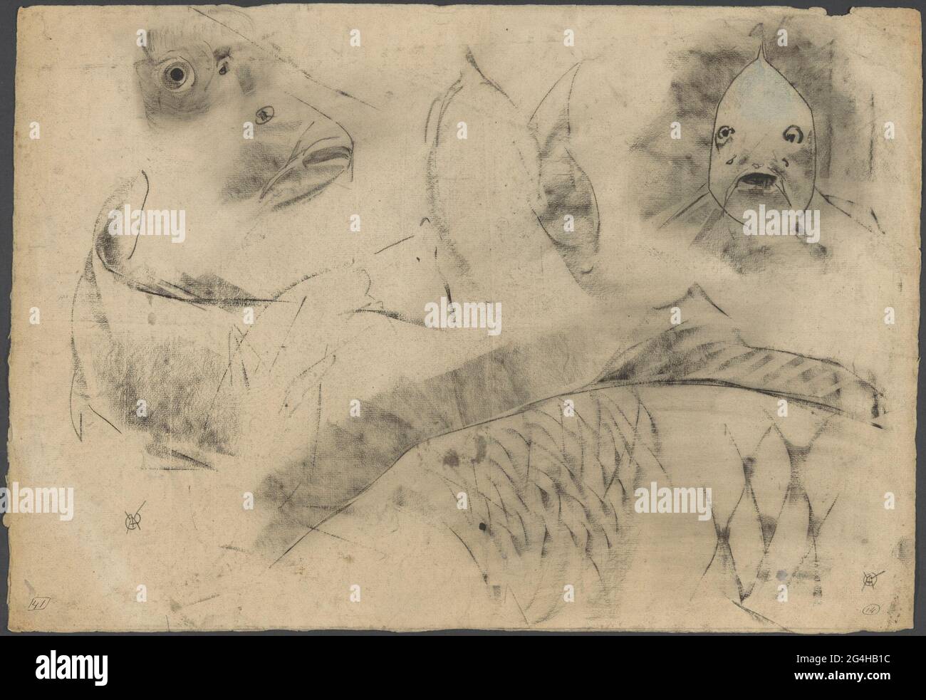Drawing carp patterns hi-res stock photography and images - Alamy