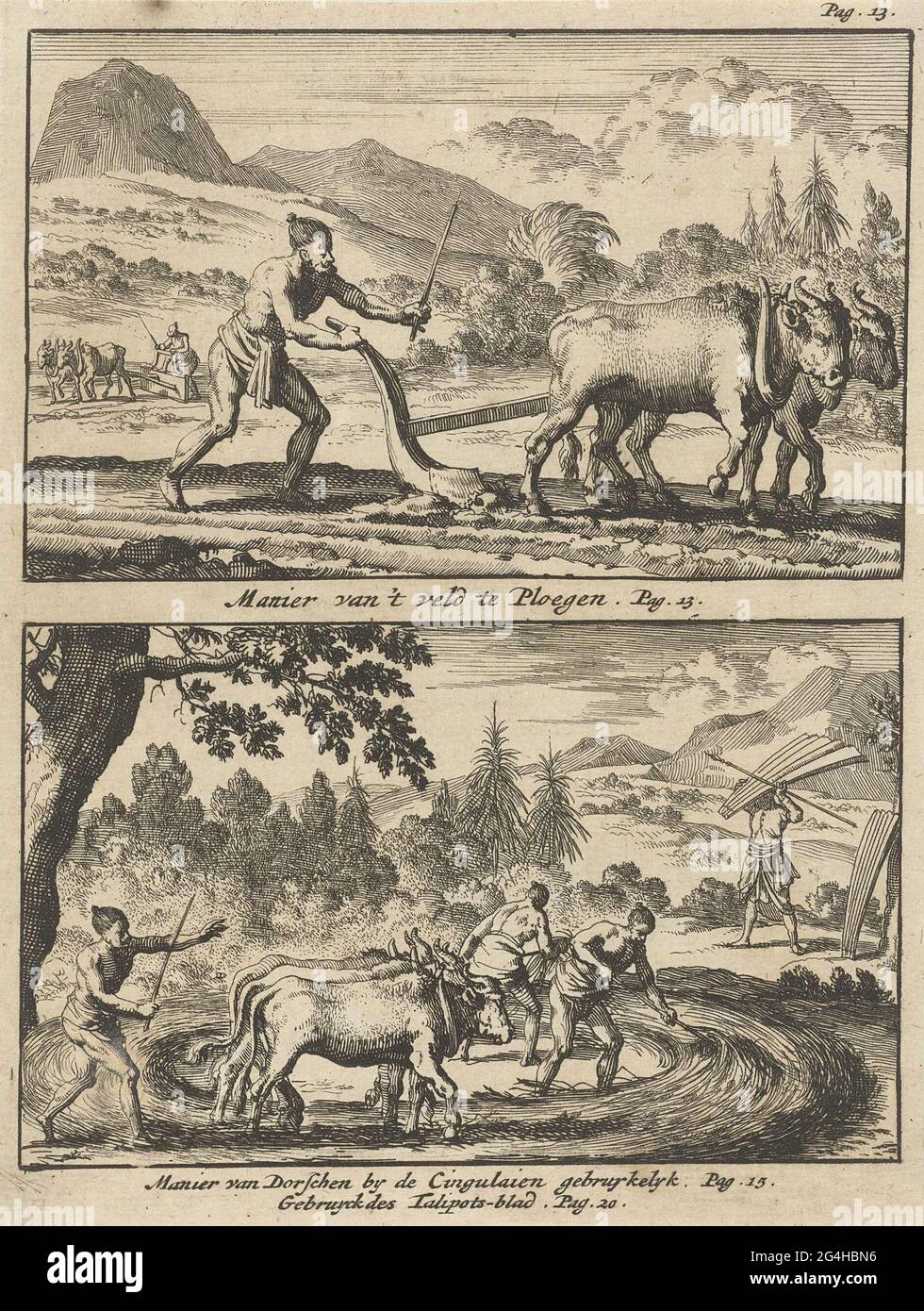 . Two representations of one plate. Print at the top right labeled: p ...