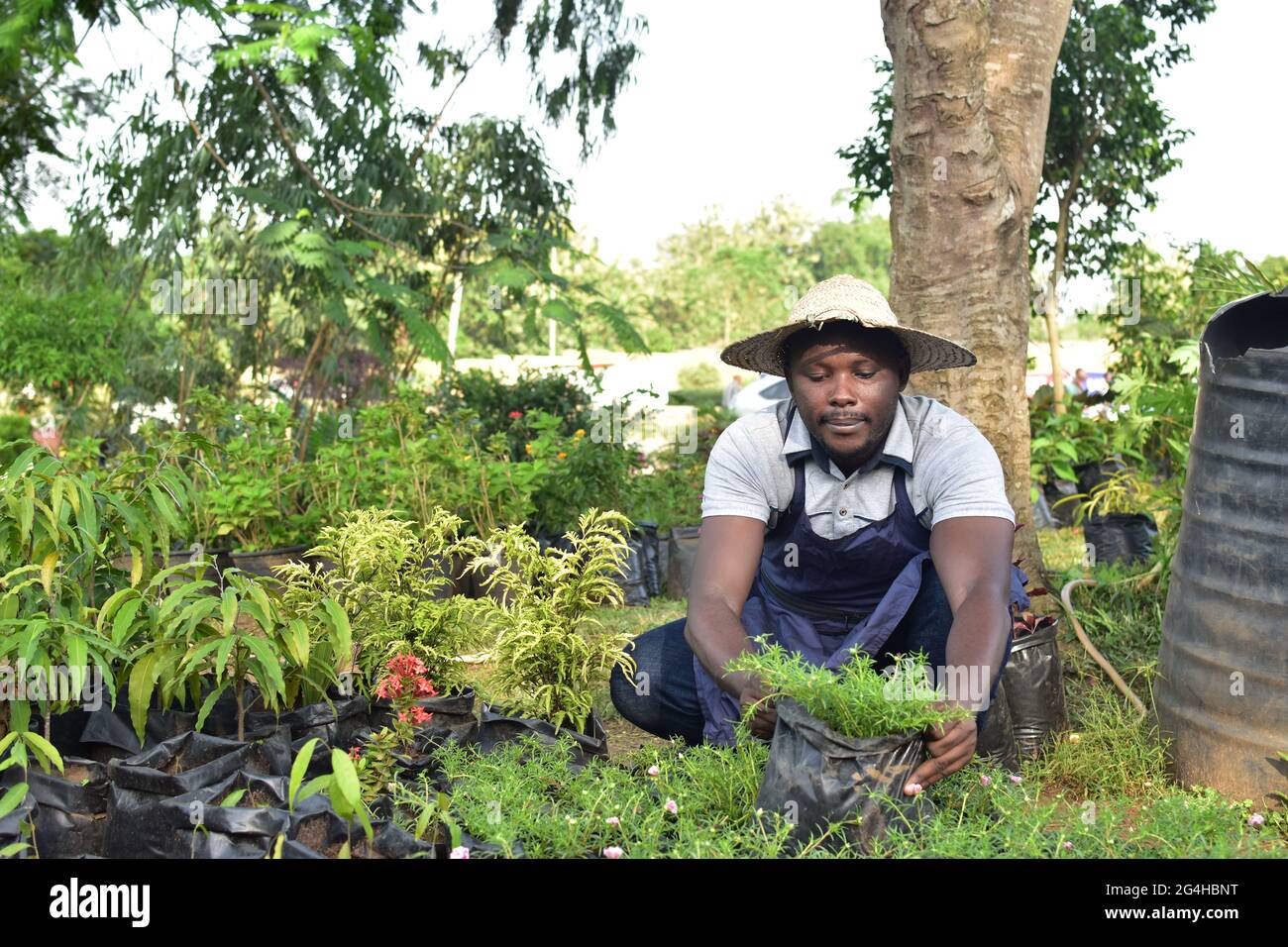 Farmer weeding hi-res stock photography and images - Alamy
