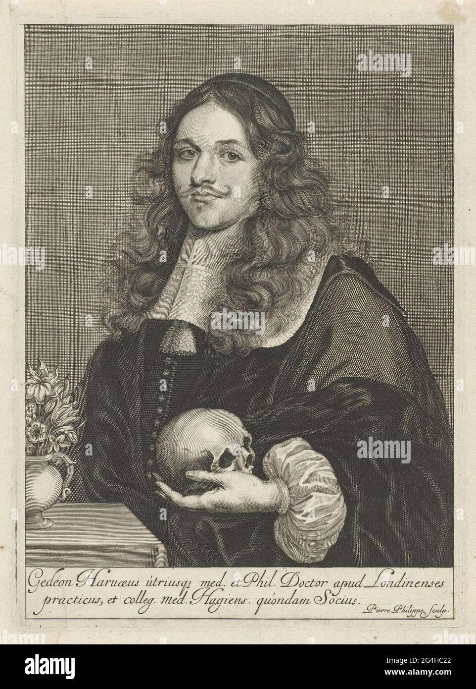 . Portrait of the doctor Gideon Harvey, with a skull in hand Stock ...