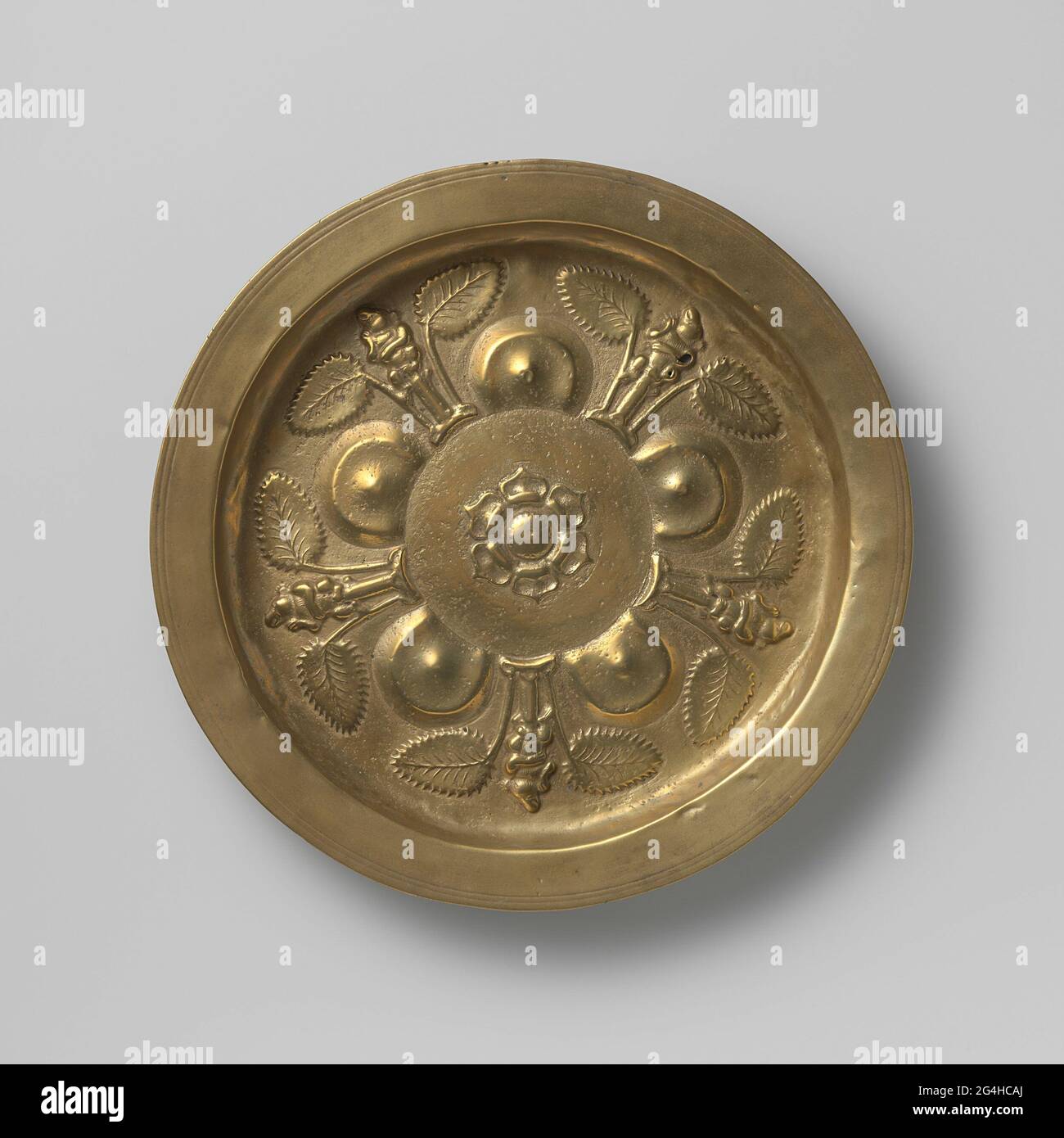 Bladder stem hi-res stock photography and images - Alamy