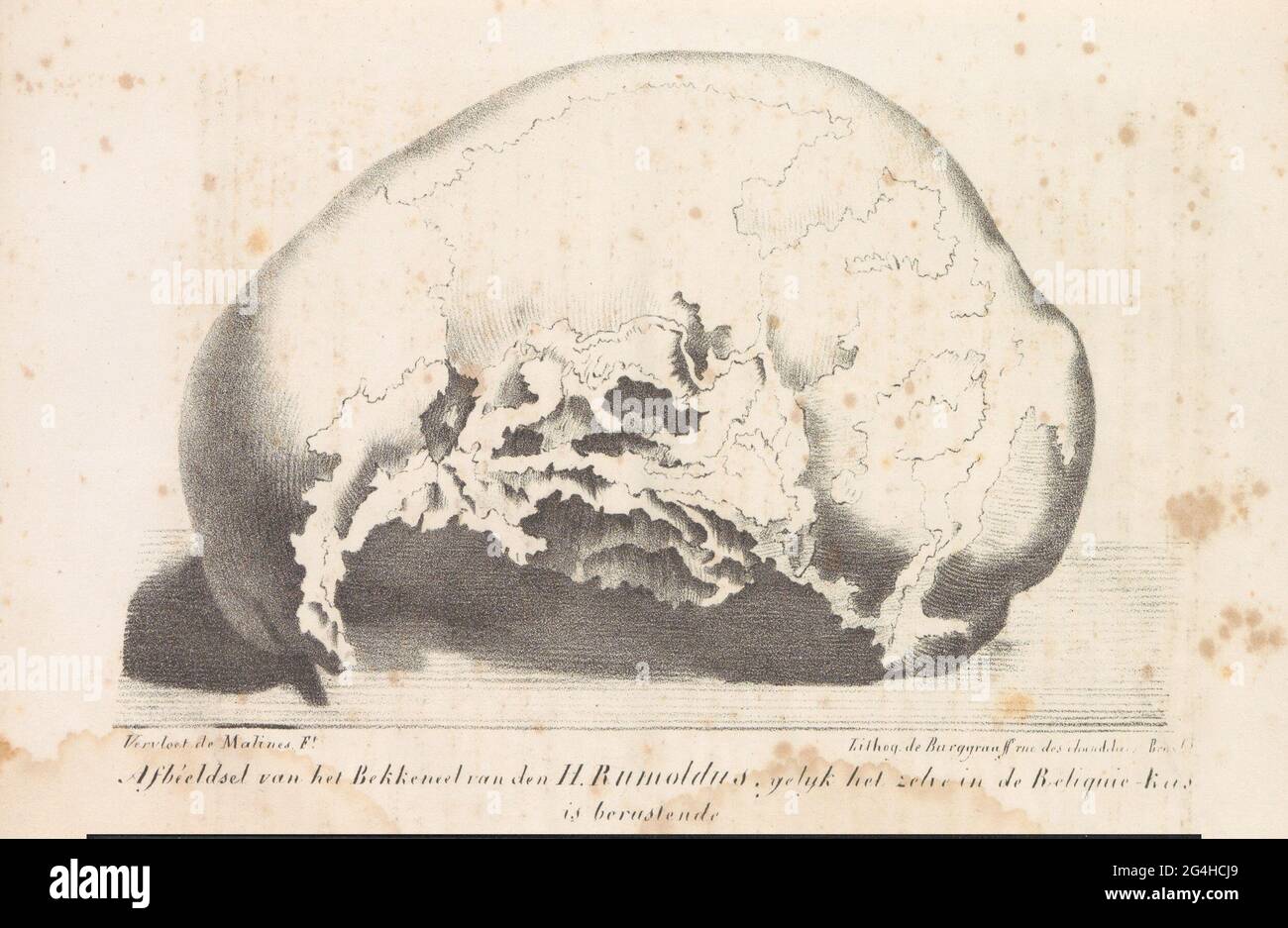 Skull of the Holy Rombout, 1825; DAMEY OF THE CALLING OF THE H ...