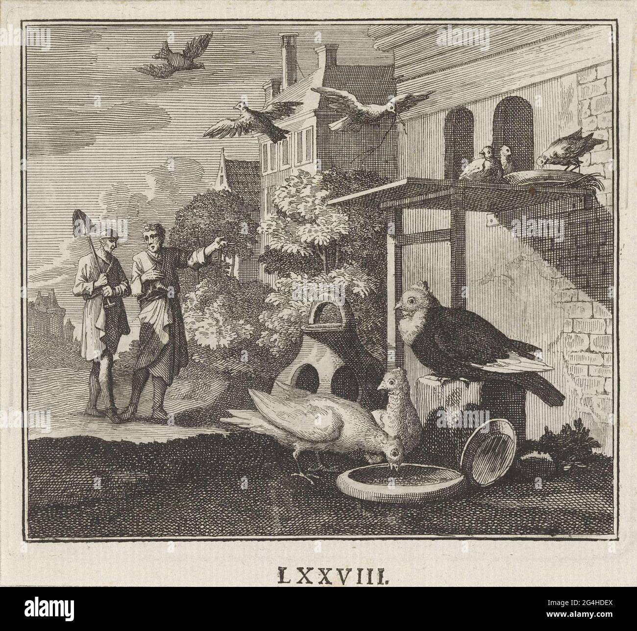 . A pigeon loft with three pigeons and a few pigeons in the air and at ...