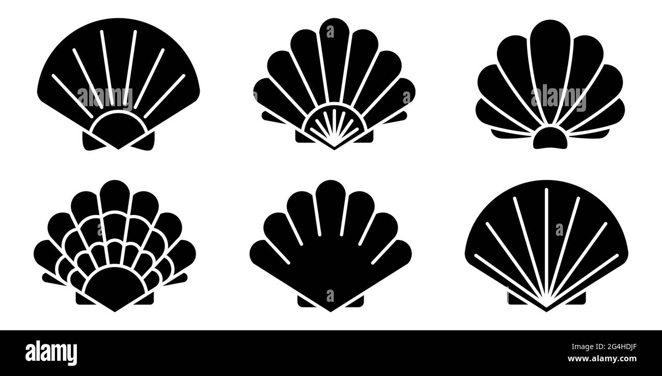 Sea shell icon. Set of pearl shell icons. Vector illustration. Shell ...