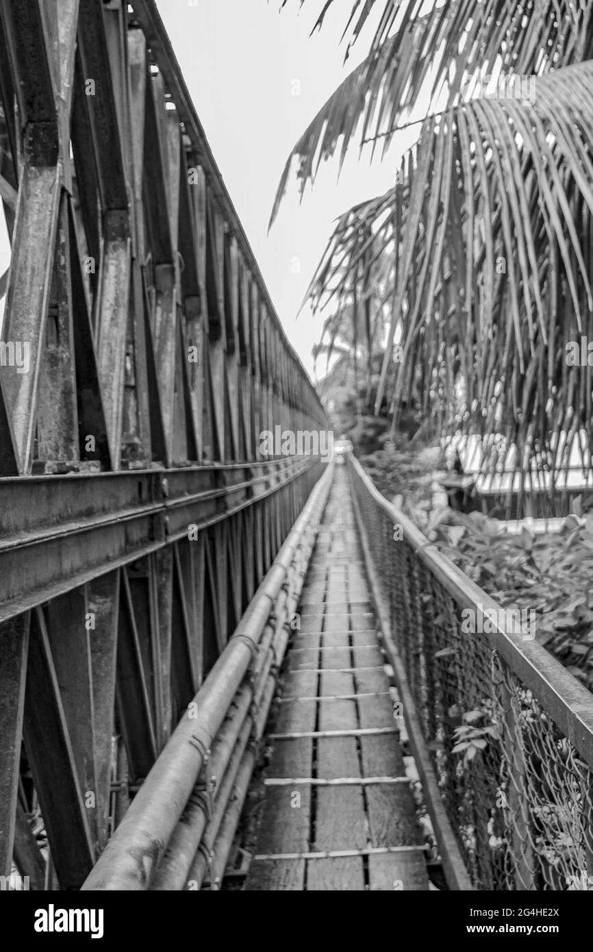 Black and white picture of the old French Bridge of wooden board in ...