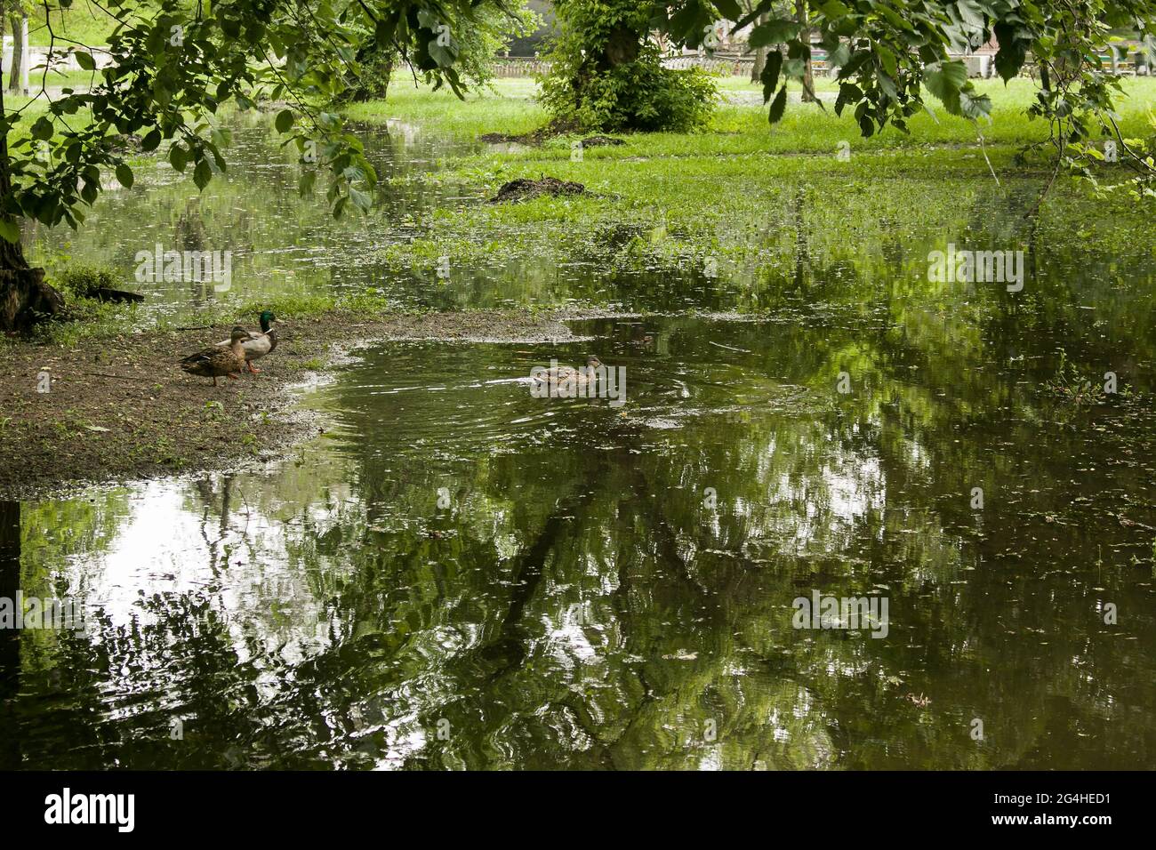 Public park drenched in rain. Water logged park.Wet benches. Park ...